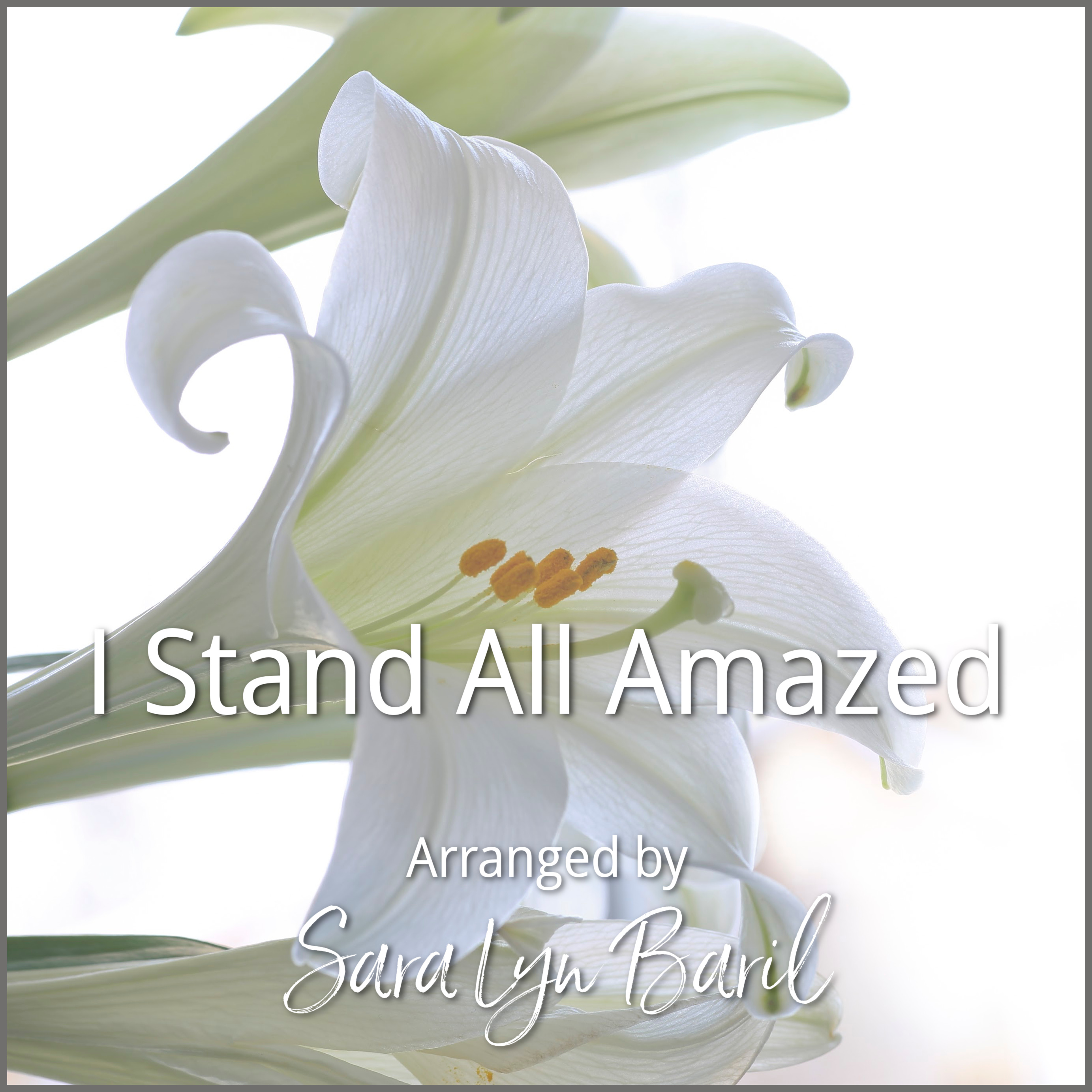 All Songs | Sara Lyn Baril
